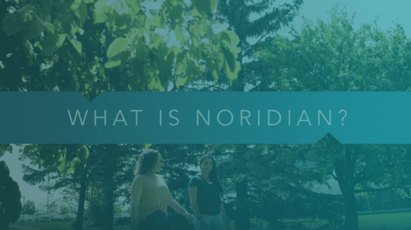 Noridian Solutions: Trusted Partner in Healthcare Administration